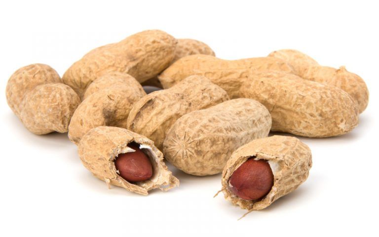 Conoce los 【TIPOS DE MANÍ】con nosotros. ¡Entra ya! 🌰