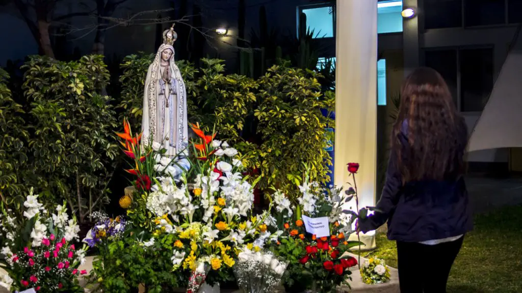 Características y cultivo de la palma Rafia (Raphis excelsa) - Consejos ...