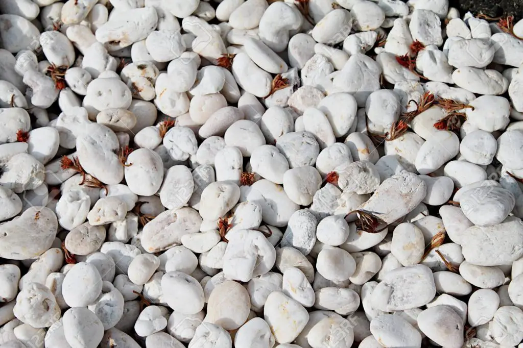 Descubre nuestras 【OFERTAS en Suelos de exterior】¡Entra! Descubre nuestras 【OFERTAS en Suelos de exterior】¡Entra!