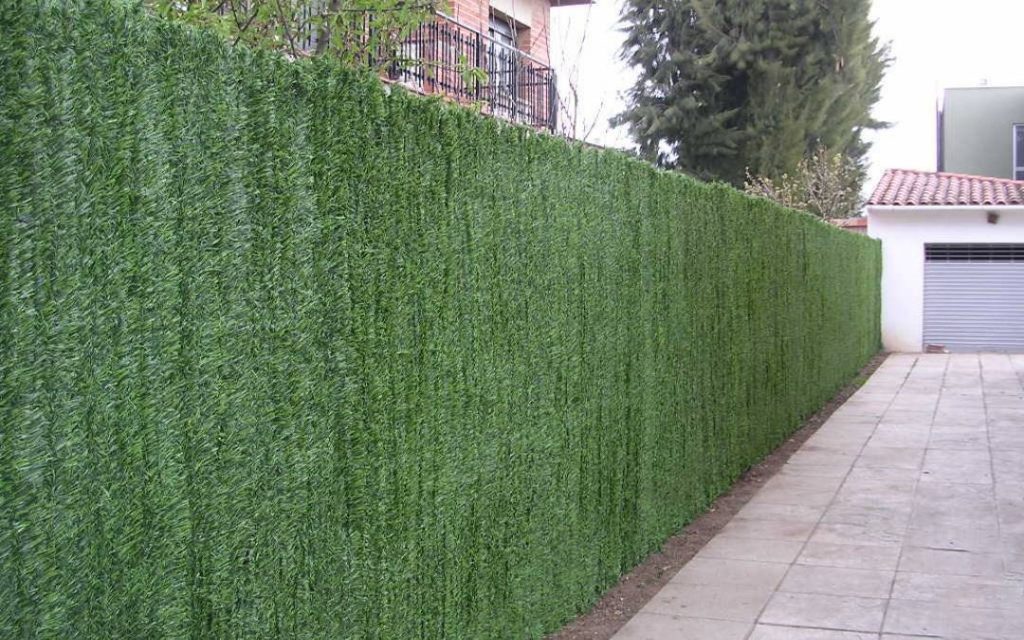 Cómo elegir los setos para su jardín: decoración y privacidad en la ...
